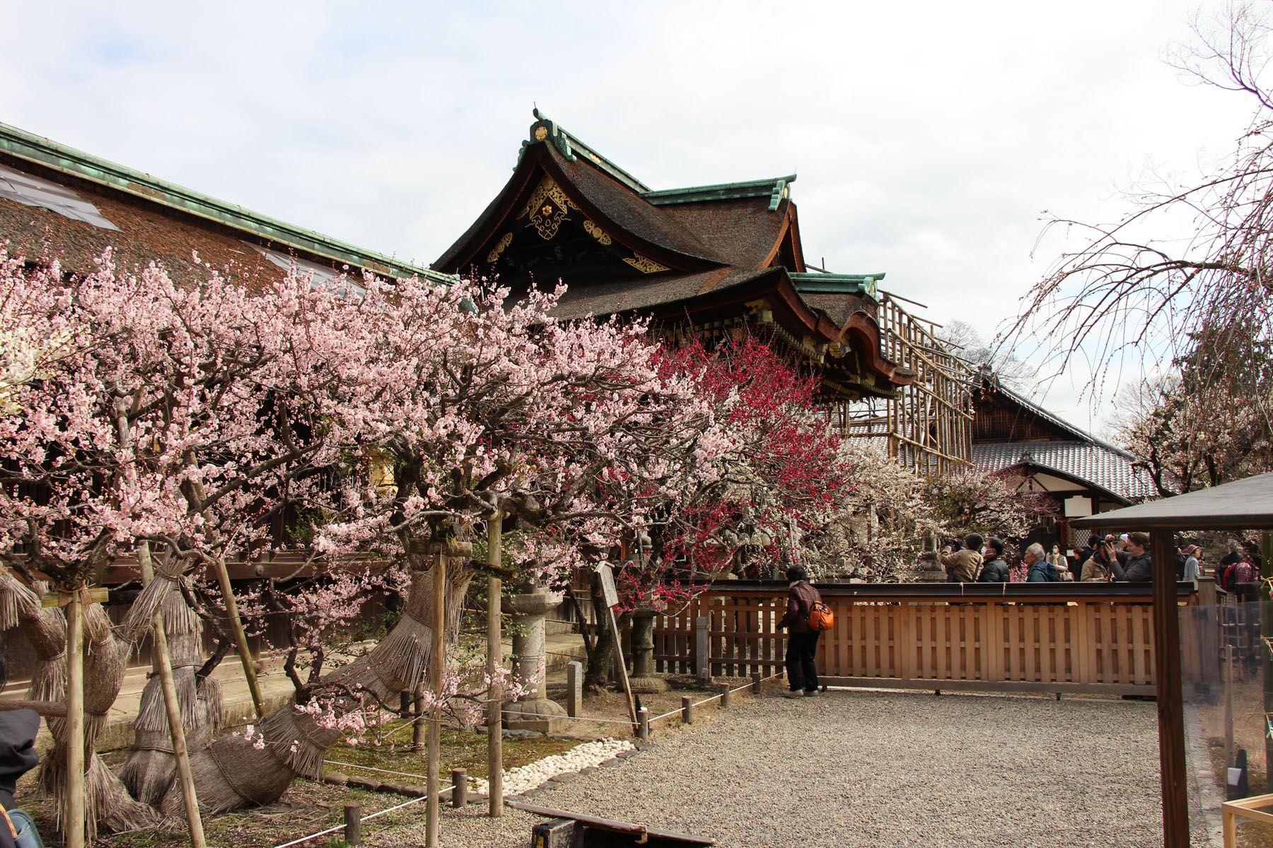 Kitano Tenmangu Shrine | Kyoto tourist spot - Kyoto Tourism Net